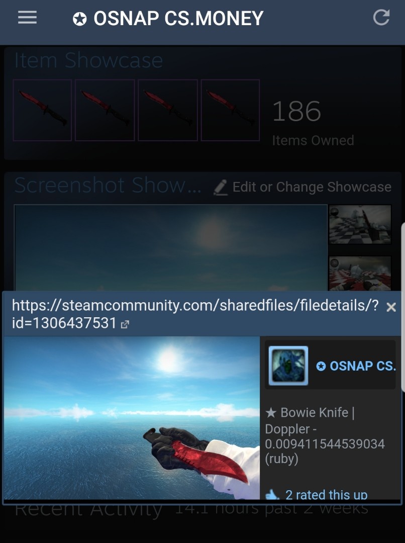 Csgo bowie ruby, Video Gaming, Video Game Consoles, Others on Carousell