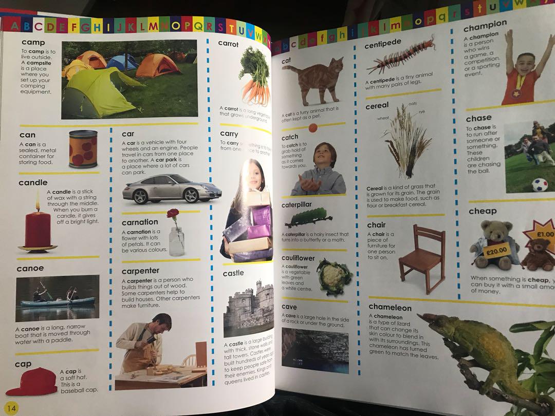 Picture Dictionary, Hobbies & Toys, Books & Magazines, Assessment Books ...