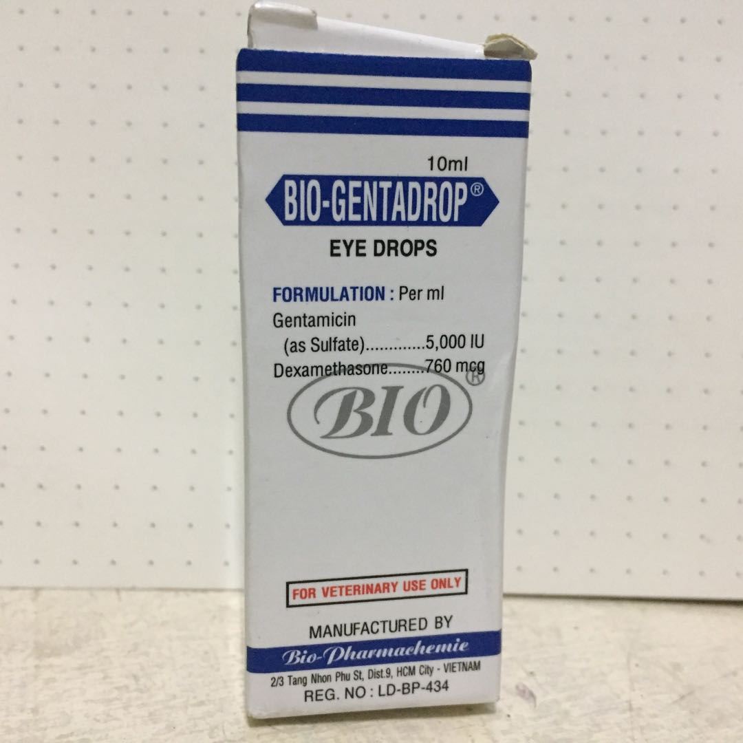 Bio-Gentadrop Eye Drops for Pets, Pet Supplies, Homes & Other Pet ...