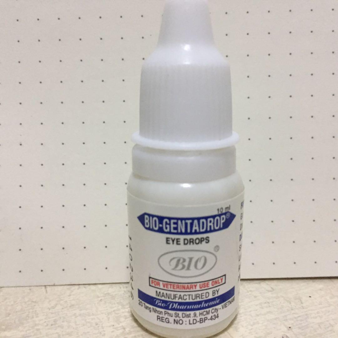 Bio-Gentadrop Eye Drops for Pets, Pet Supplies, Homes & Other Pet ...