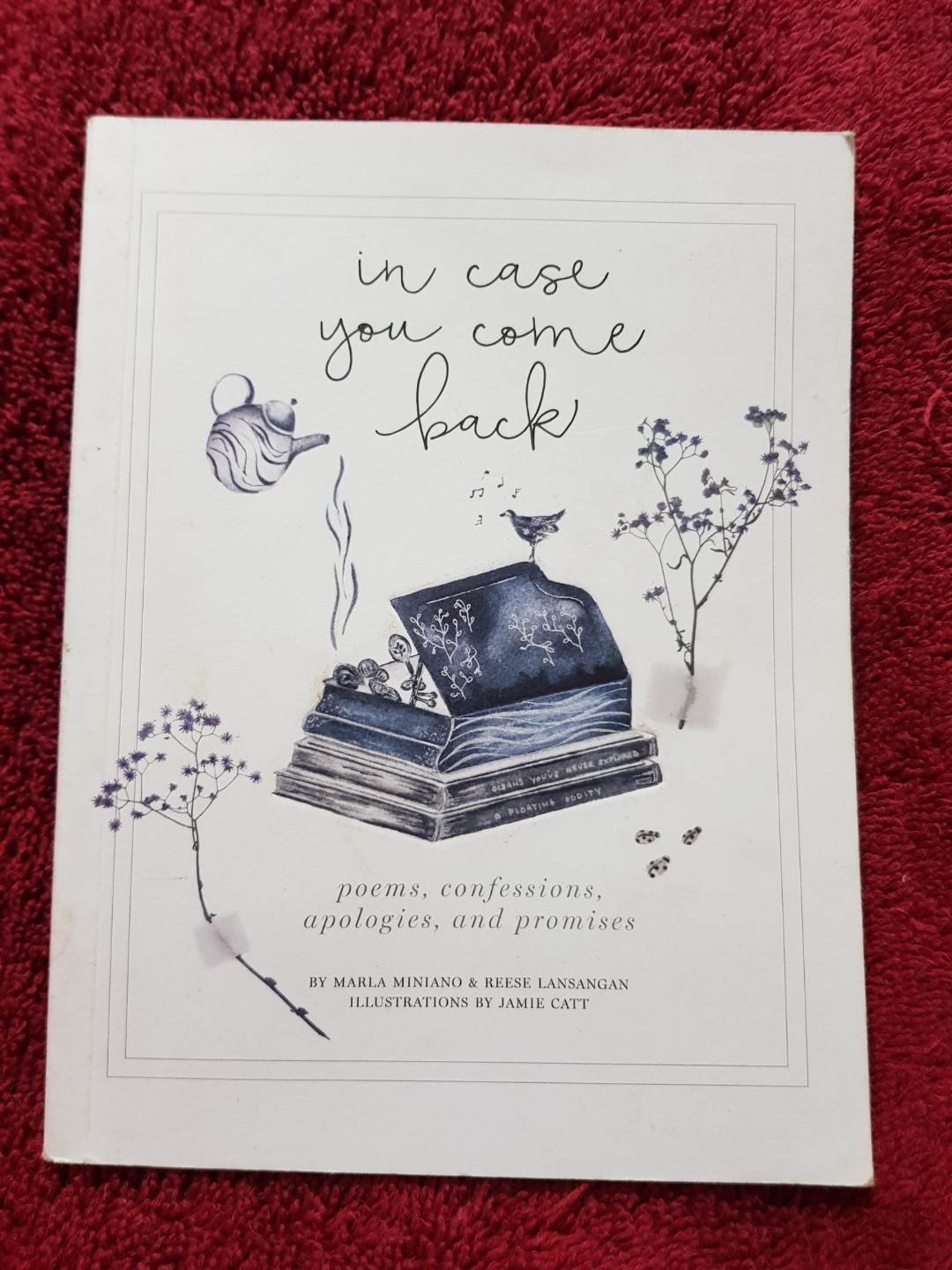 In Case You Come Back- Marla Miniano and Reese Lansangan, Hobbies ...