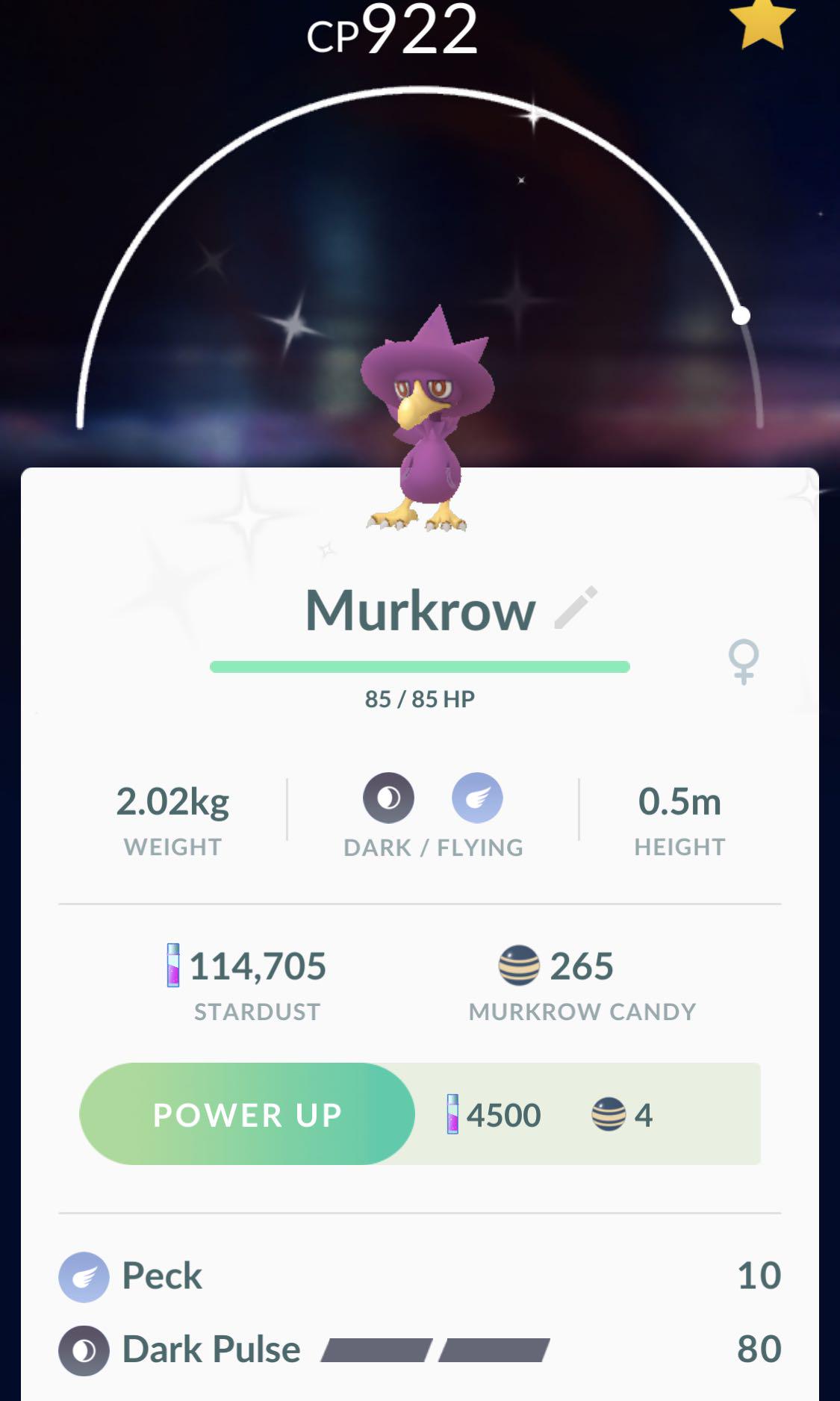 shiny murkrow