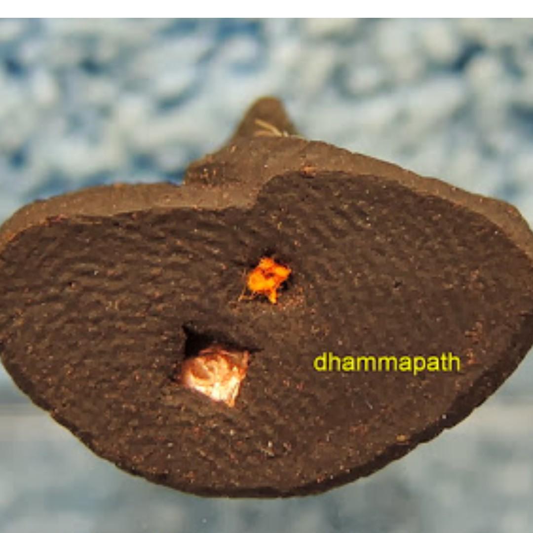 LP Dam LP Dum Pidta wat mai naparam, Hobbies & Toys, Memorabilia ...