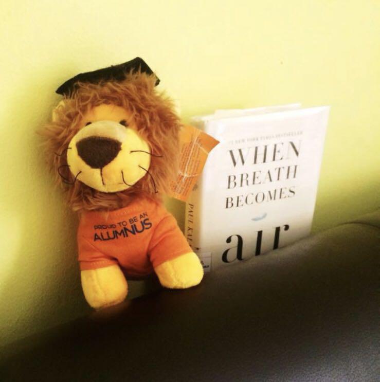 NUS Graduation lion gift, Hobbies & Toys, Toys & Games on Carousell