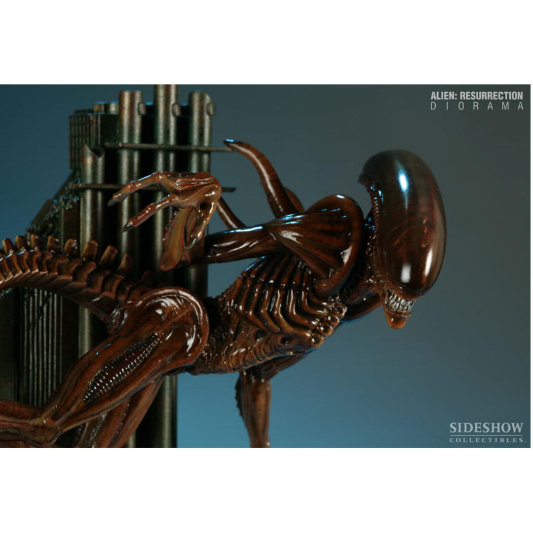 Sideshow Alien: Resurrection Diorama, Hobbies & Toys, Toys & Games on ...