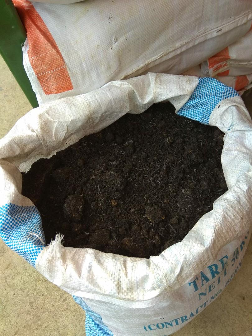 25kg pack..compost soilx8 pkt, Furniture & Home Living, Gardening ...