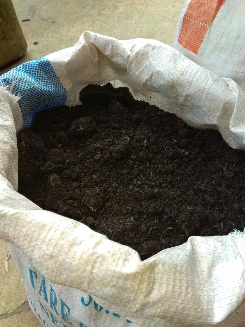 25kg pack..compost soilx8 pkt, Furniture & Home Living, Gardening ...