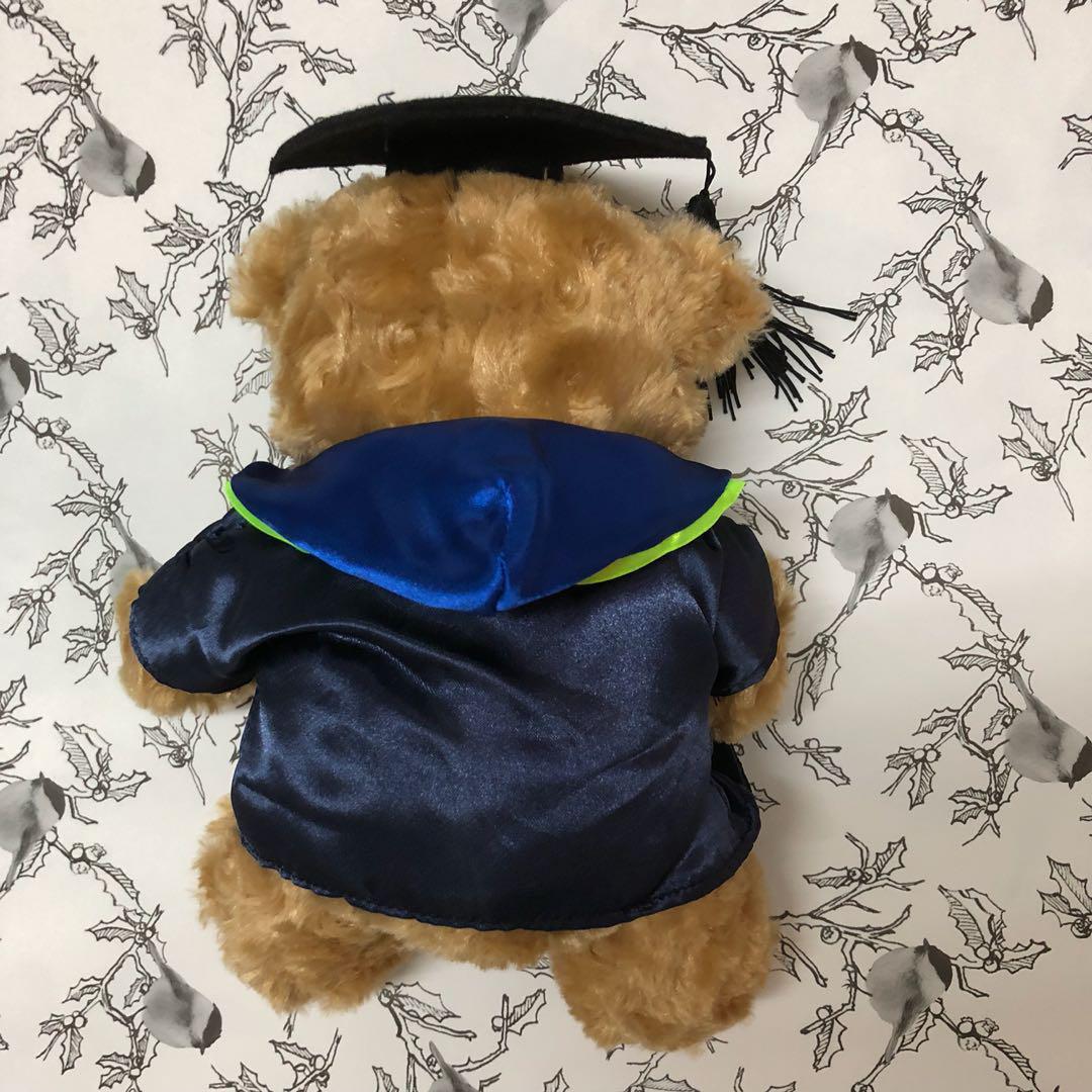 BN 23cm Graduation bear NTU, Hobbies & Toys, Toys & Games on Carousell