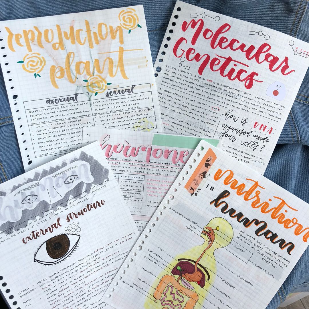 Pure Biology O Level Notes, Hobbies & Toys, Books & Magazines ...