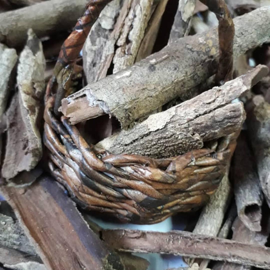 super kulit kayu serapat powder (parameria barbata or parameria ...