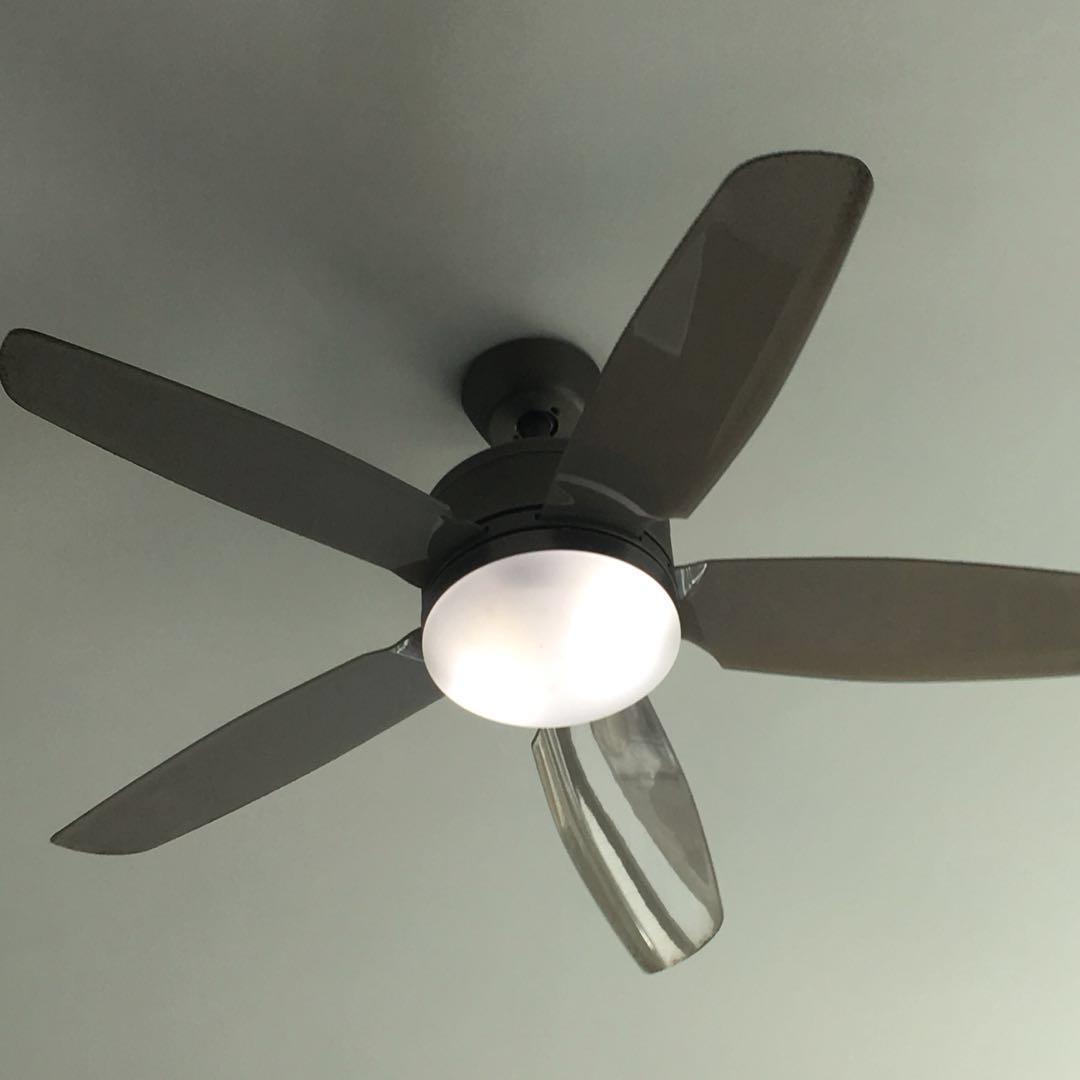 Crestar Ceiling Fan with light ( grey color) 48 inches, Furniture ...