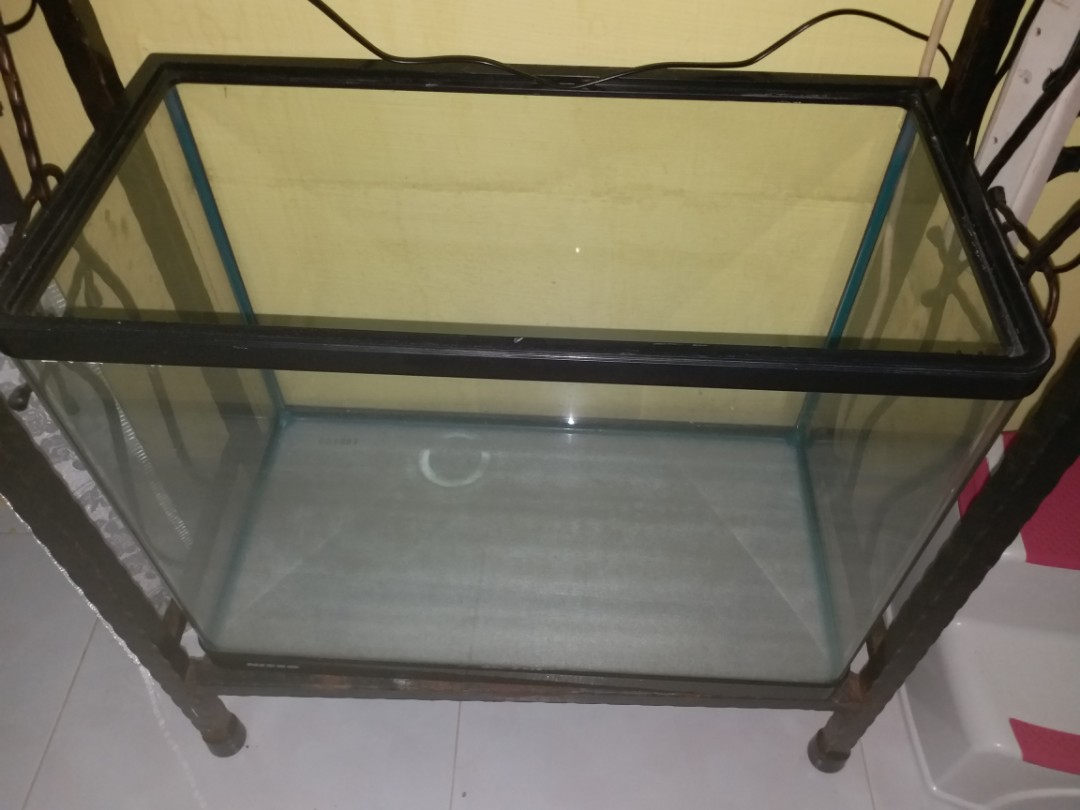 2ft fish tank, Pet Supplies, Homes & Other Pet Accessories on Carousell