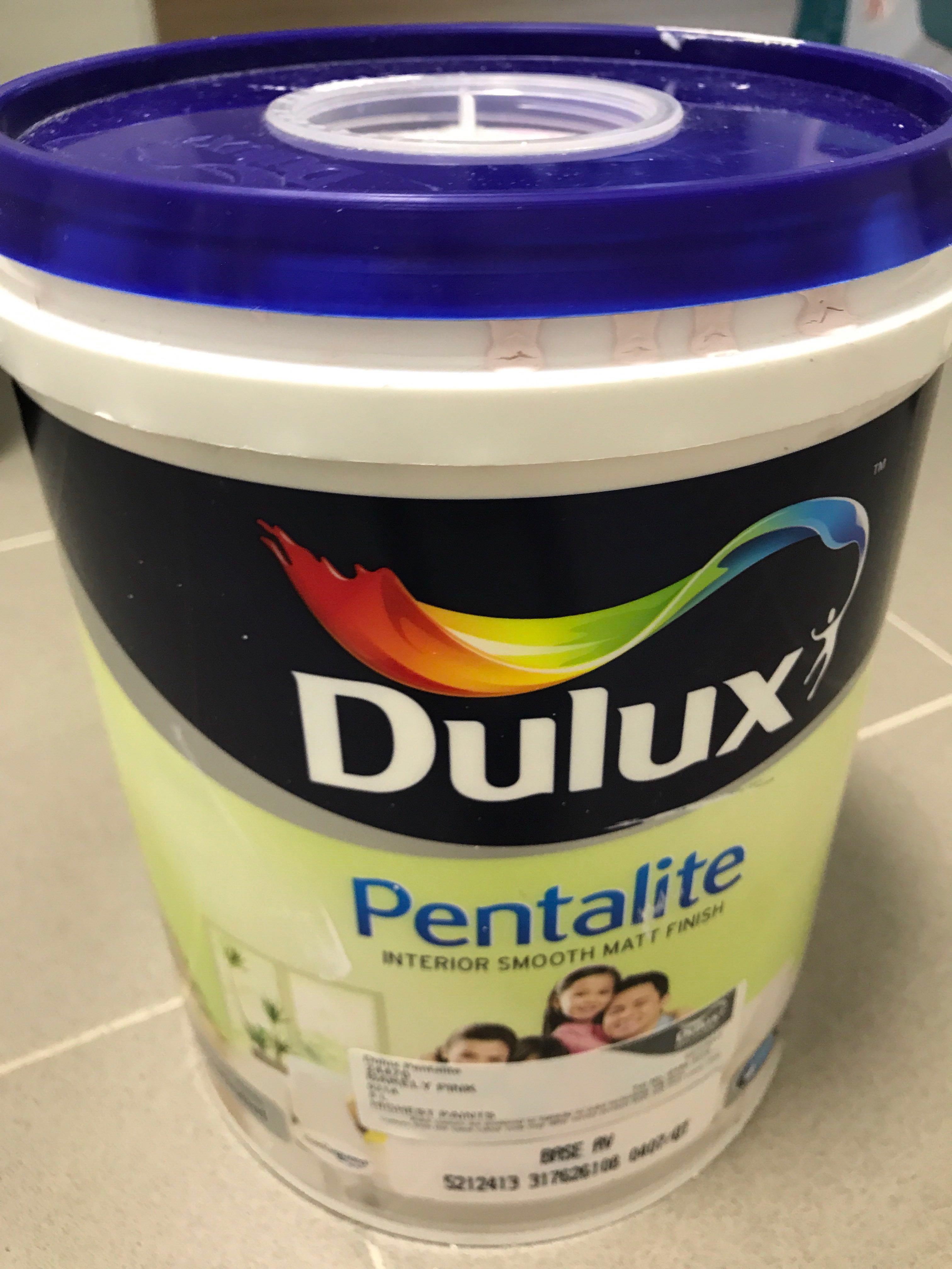 Dulux Pentalite Paint (Barely Pink), Everything Else on Carousell