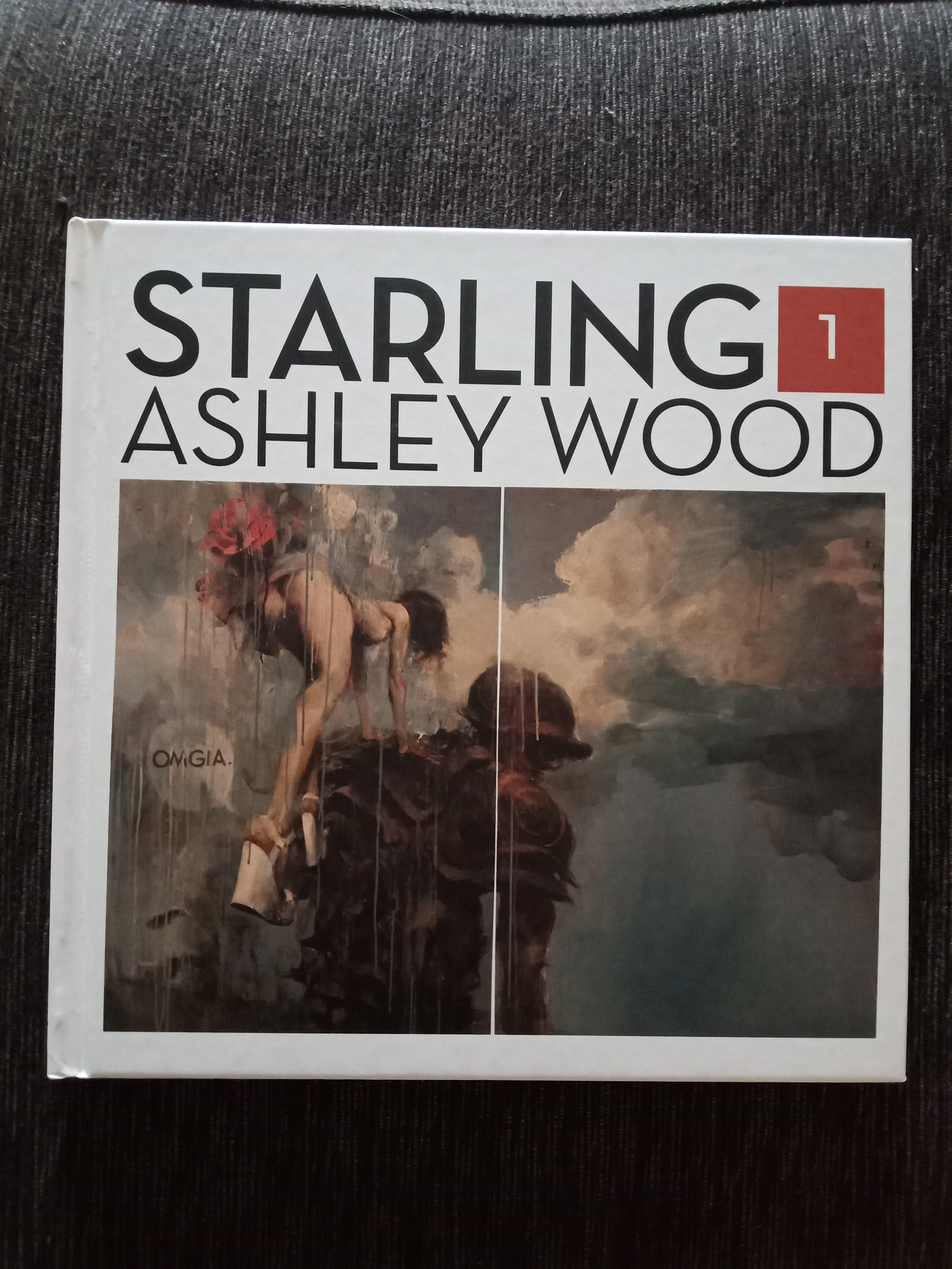 ashley Wood STARLING 1 (ART BOOK), Hobbies & Toys, Stationery & Craft ...