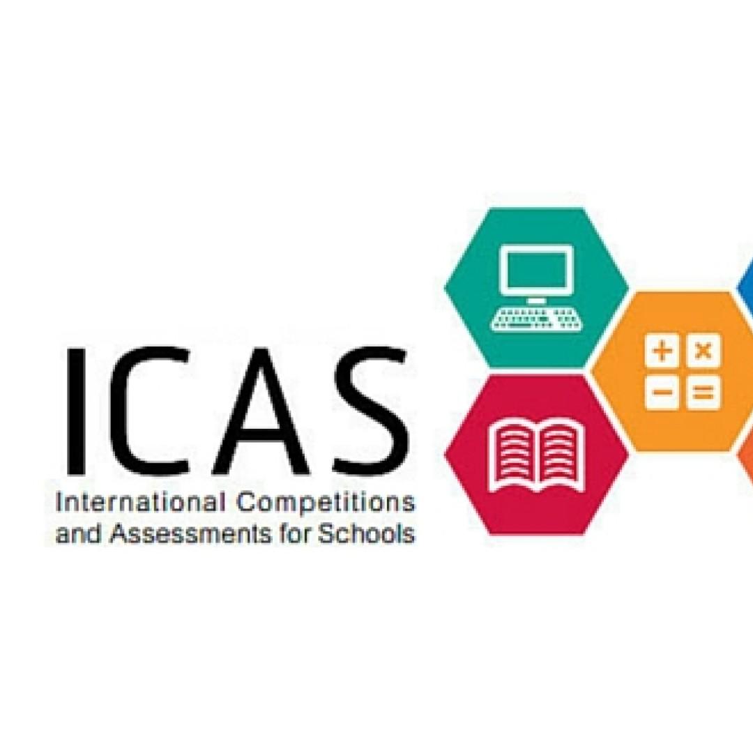 ICAS Math past papers for P4, Hobbies & Toys, Books & Magazines ...