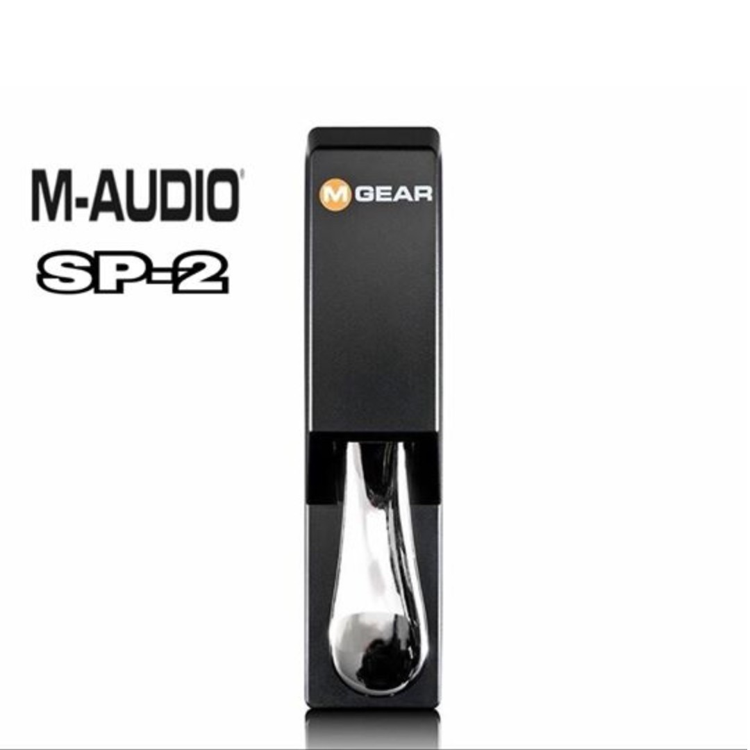 M-Audio SP-2 Universal Sustain Pedal With Polarity Switch, Hobbies ...
