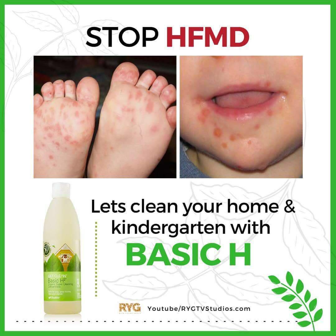 Shaklee Basic H2 Organic Super Cleaning Concentrate, Everything Else on ...