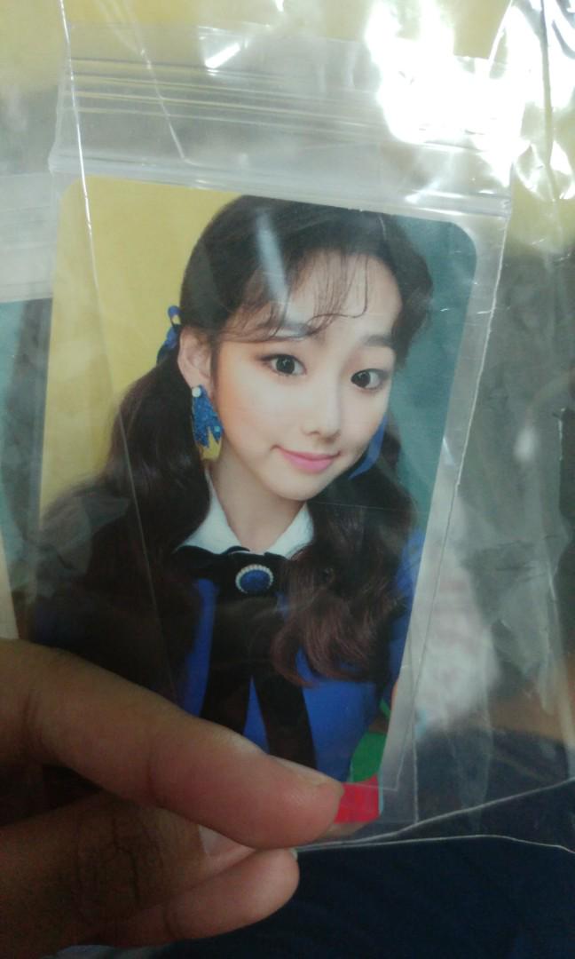 Kang Mina Photocard Gugudan chococo factory, Hobbies & Toys ...