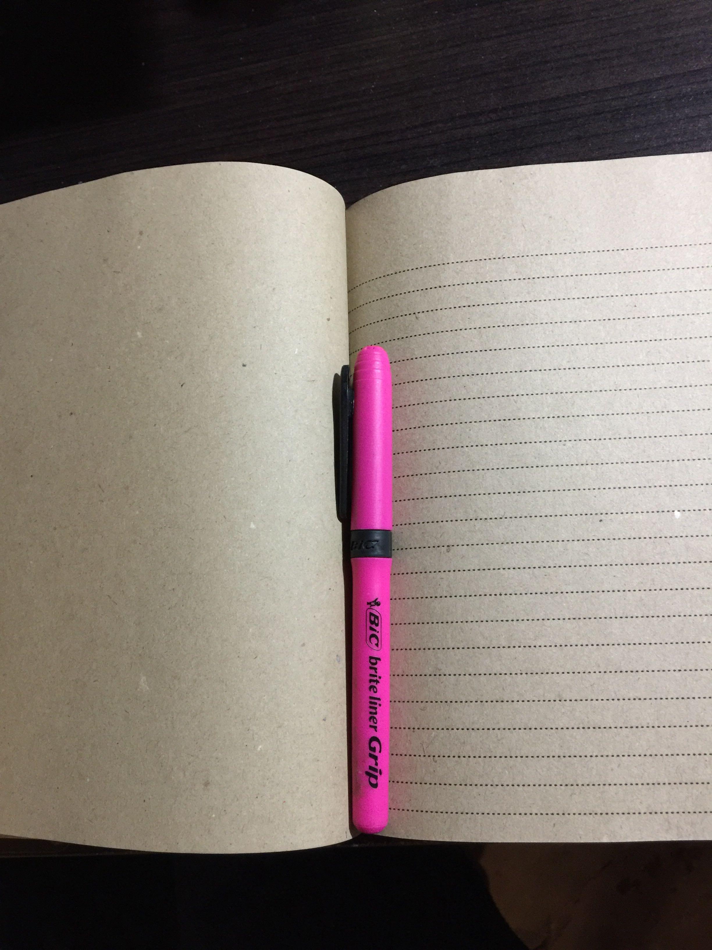 Papemelroti Kraft Notebook Statement Notebook Cute Notebook, Hobbies ...