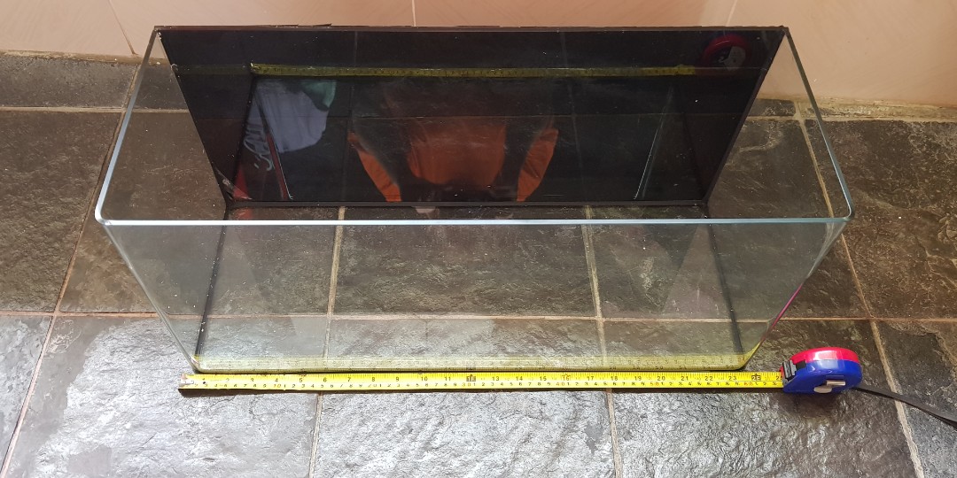 60cm Aquarium Tank, Pet Supplies, For Fish, Fish Tanks on Carousell