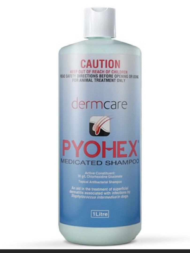 Pyohex medicated shampoo, Pet Supplies, Health & Grooming on Carousell