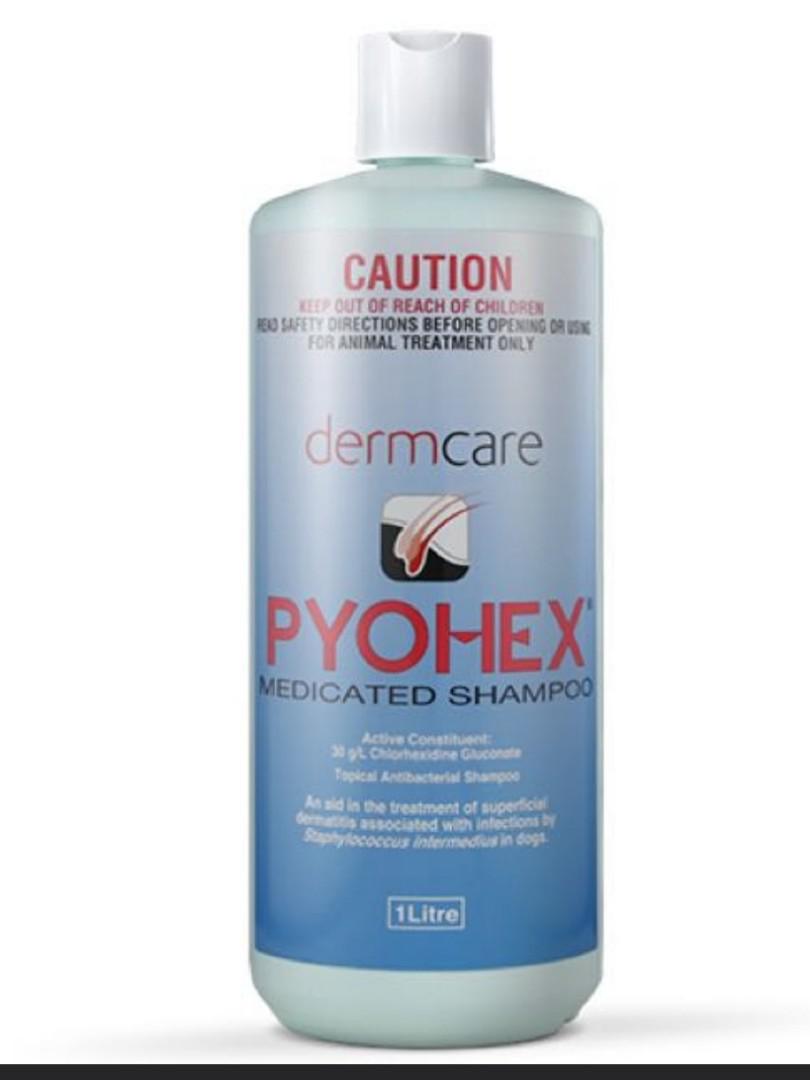 Pyohex medicated shampoo, Pet Supplies, Health & Grooming on Carousell