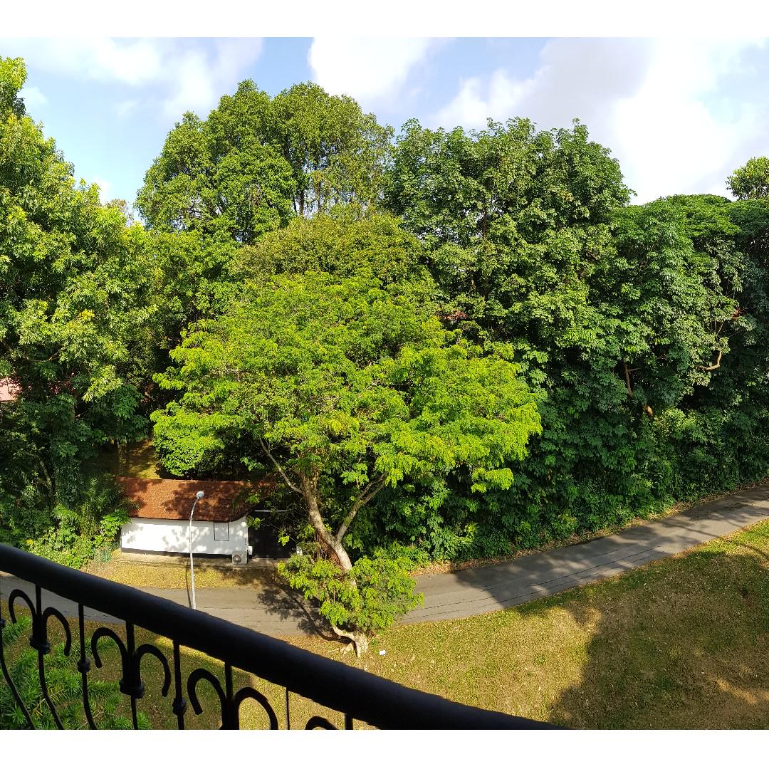 Tanglin Park Cosy 2 bedroom overlooking greenery, Property, Rentals ...