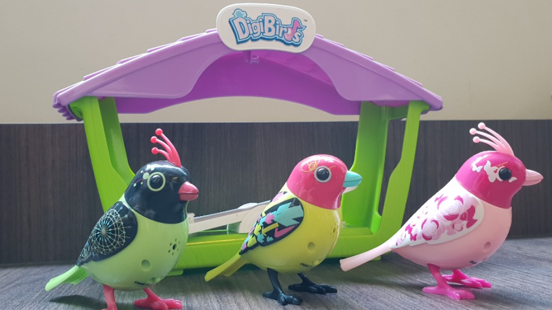Digi bird, Hobbies & Toys, Toys & Games on Carousell
