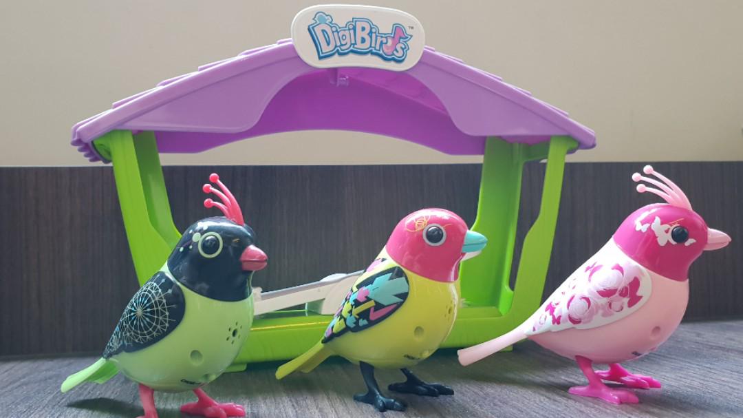 Digi bird, Hobbies & Toys, Toys & Games on Carousell