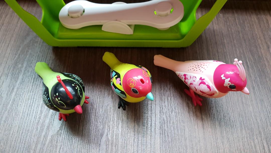 Digi bird, Hobbies & Toys, Toys & Games on Carousell