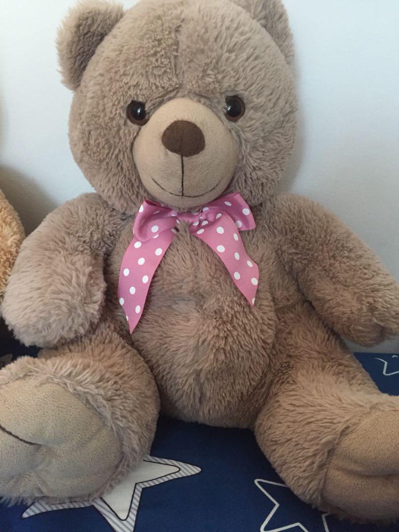 Teddy Bear brawn no space to keep . Still as good as new., Hobbies ...