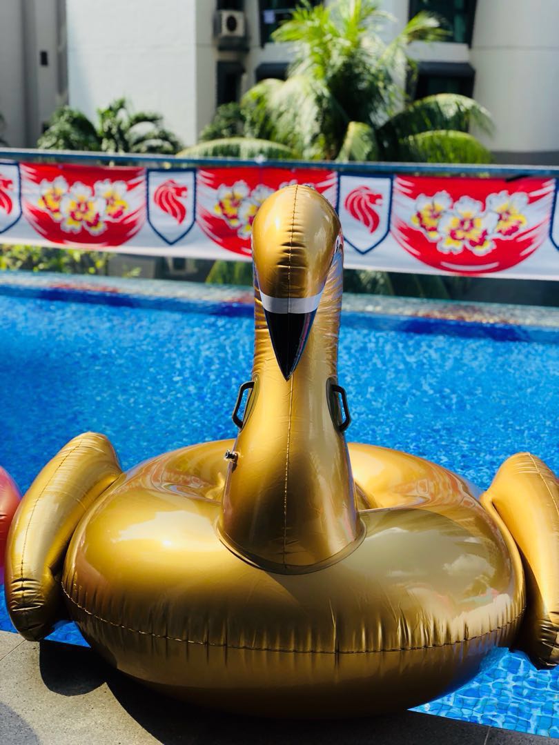 Gold Swan Pool Float, Hobbies & Toys, Toys & Games on Carousell