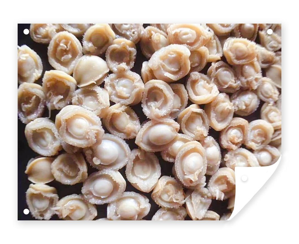 Mini dry abalone, Food & Drinks, Packaged & Instant Food on Carousell