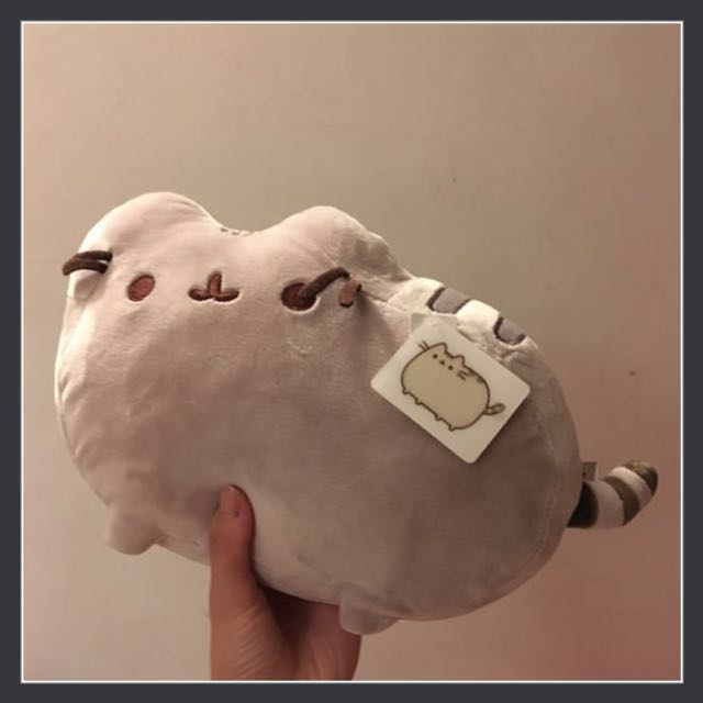 Pusheen Large Plush, Hobbies & Toys, Toys & Games on Carousell