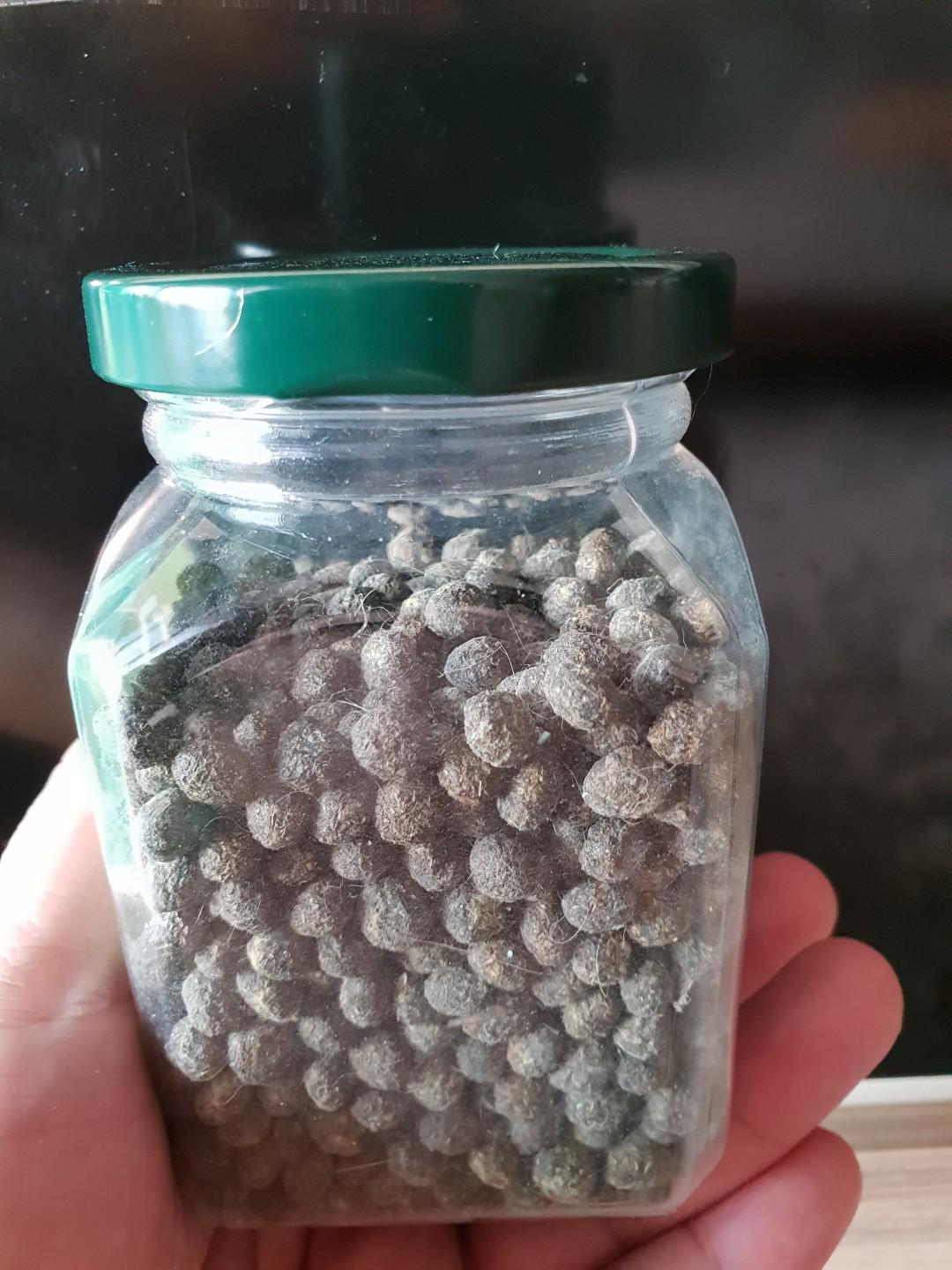 Rabbit Poo Fertiliser for plant, Furniture & Home Living, Gardening ...