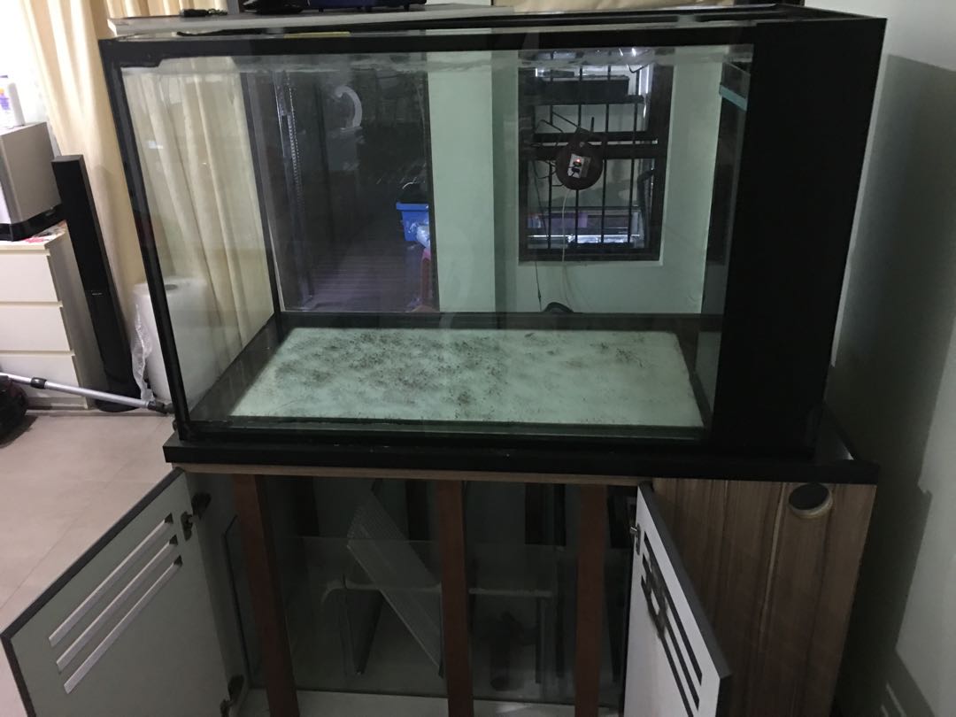 4x2x2.5 fish tank with sump, Pet Supplies, Homes & Other Pet ...