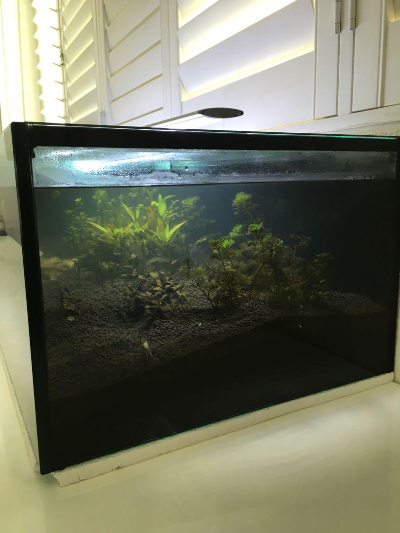 Custom long low profile fish tank, Pet Supplies, Homes & Other Pet ...
