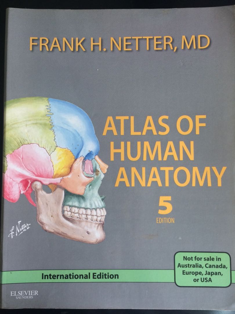 Netter Anatomy, Hobbies & Toys, Books & Magazines, Textbooks on Carousell