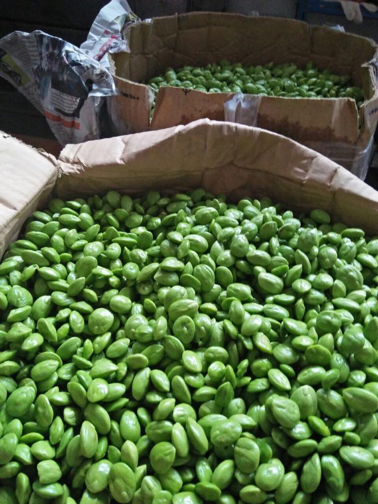 Fresh Petai, Food & Drinks, Chilled & Frozen Food on Carousell