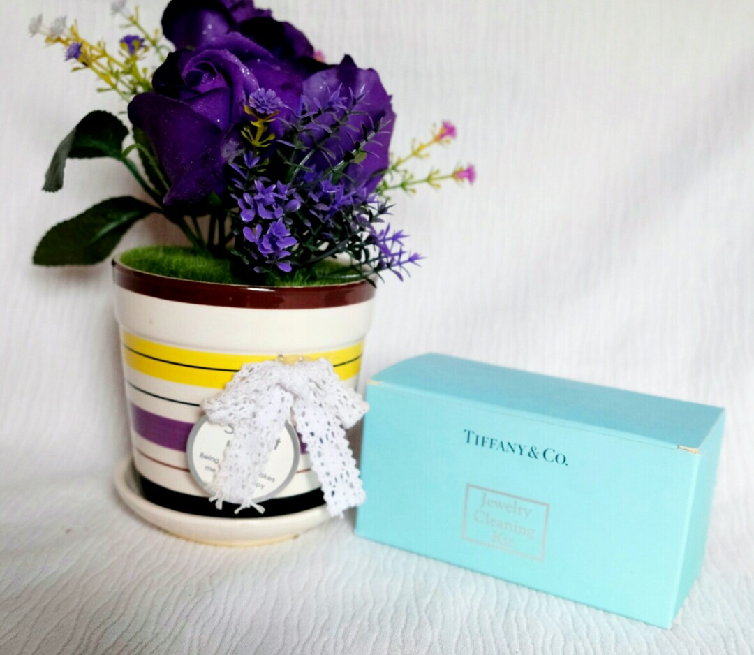 Tiffany & Co. Jewelry Cleaner, Women's Fashion, Jewelry & Organizers ...
