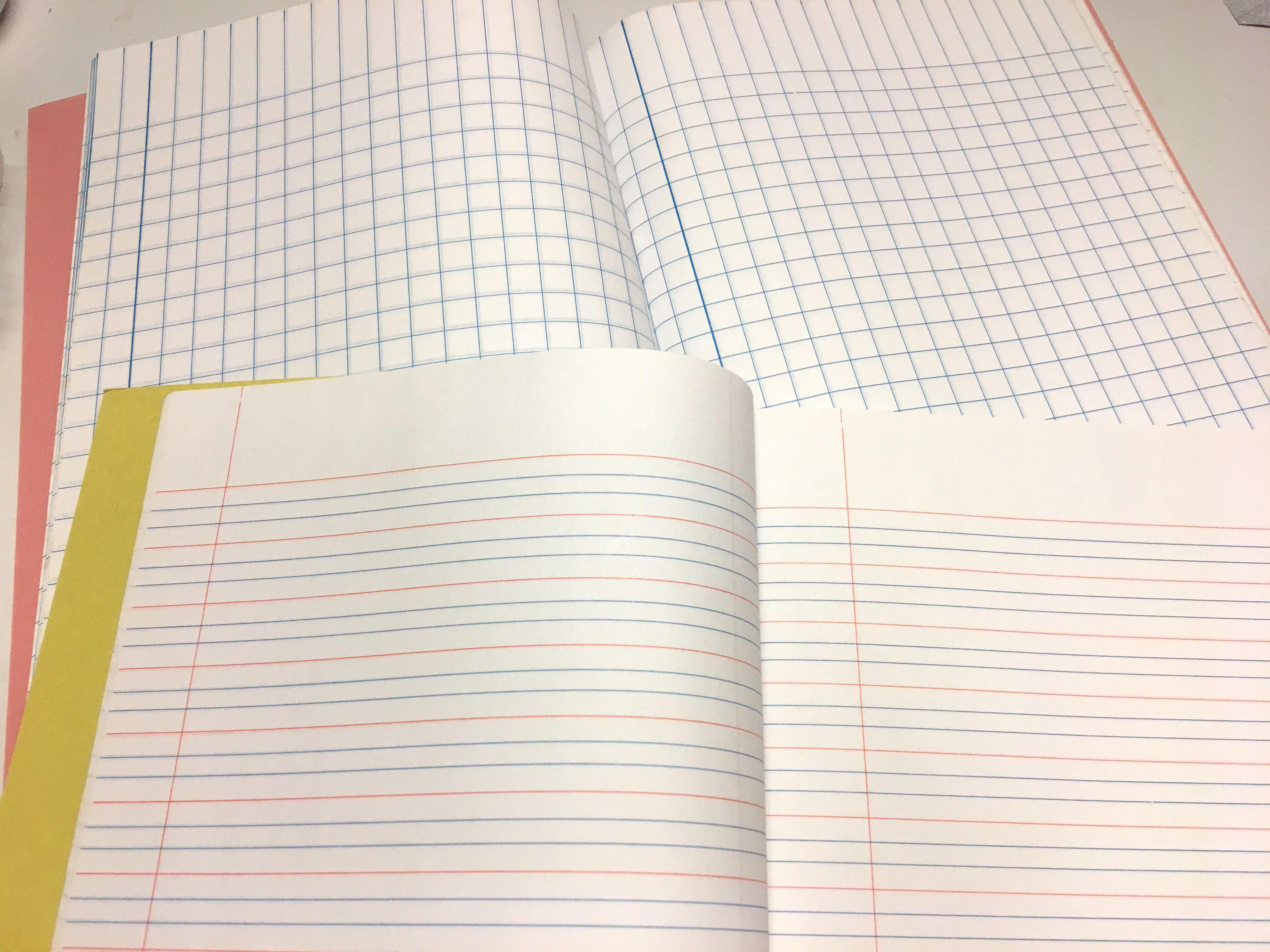 DGJS exercise book notebook 拔萃女小學 練習簿 練字簿 橫間簿 格仔簿 記事簿 記事本 筆記本 筆記簿, 興趣及 ...