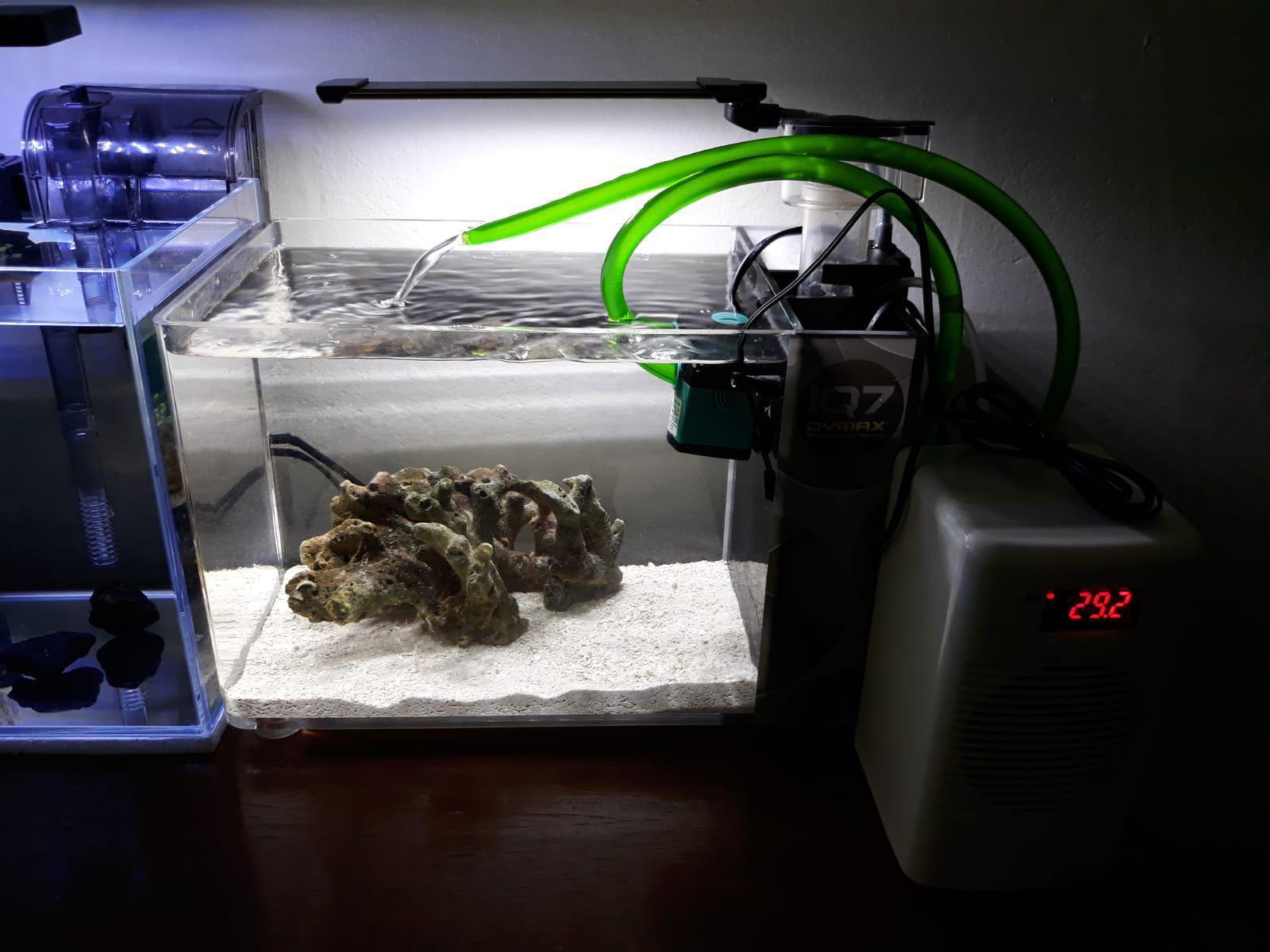 DYMAX IQ7 NANO TANK, Pet Supplies, Homes & Other Pet Accessories on ...