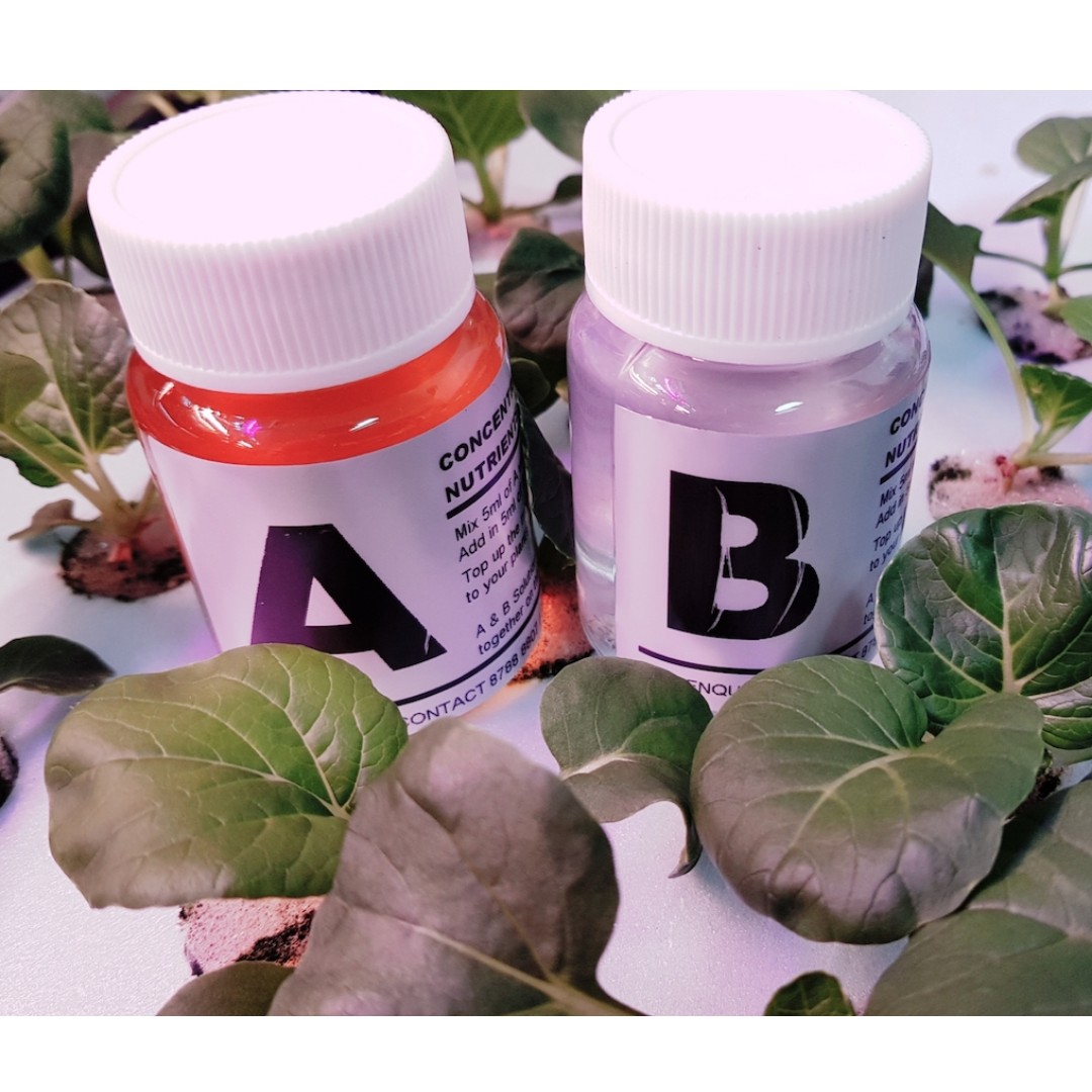 Hydroponics Concentrated Nutrients Solution A & B (60ml each ...