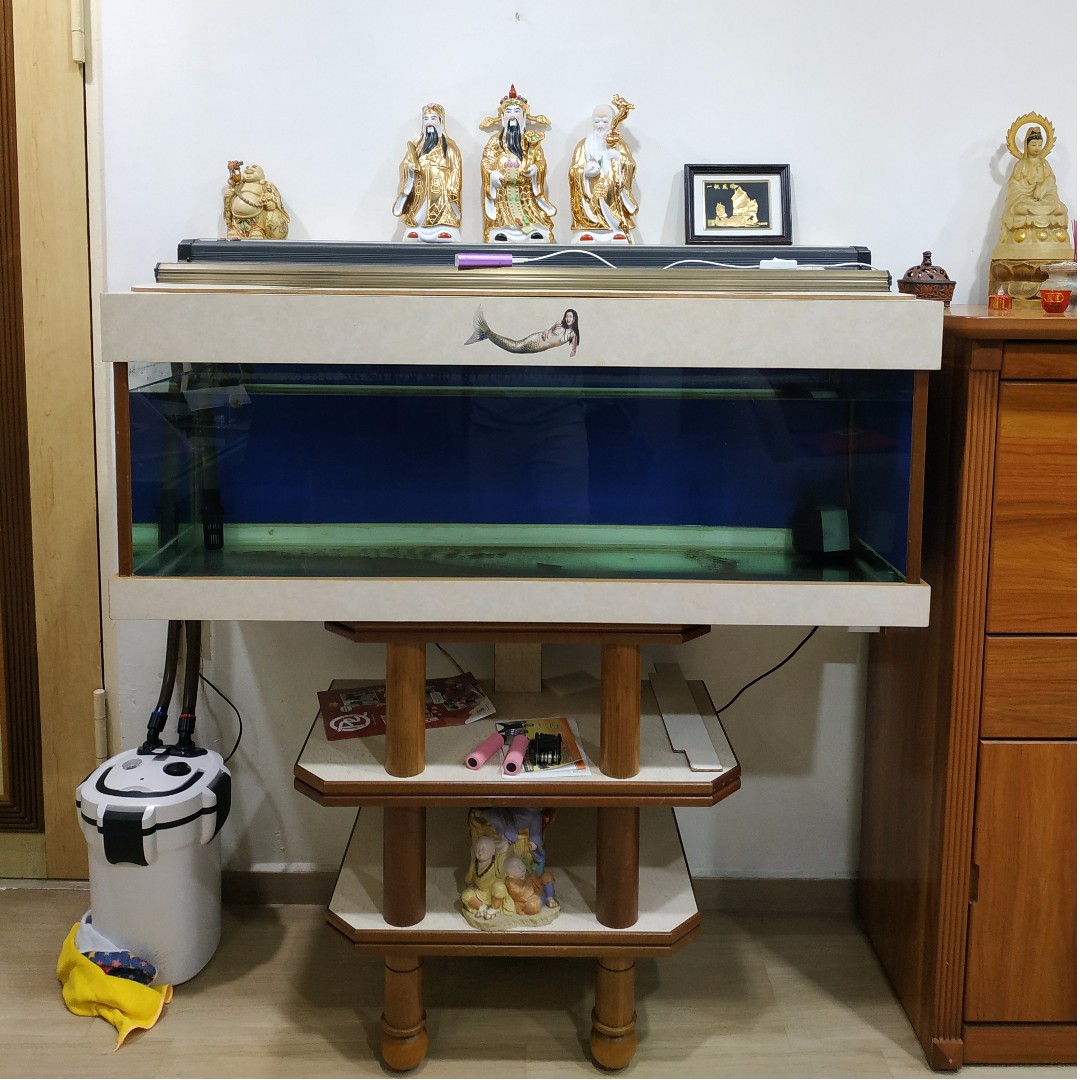 Custom made Fish Tank, Pet Supplies, Homes & Other Pet Accessories on ...