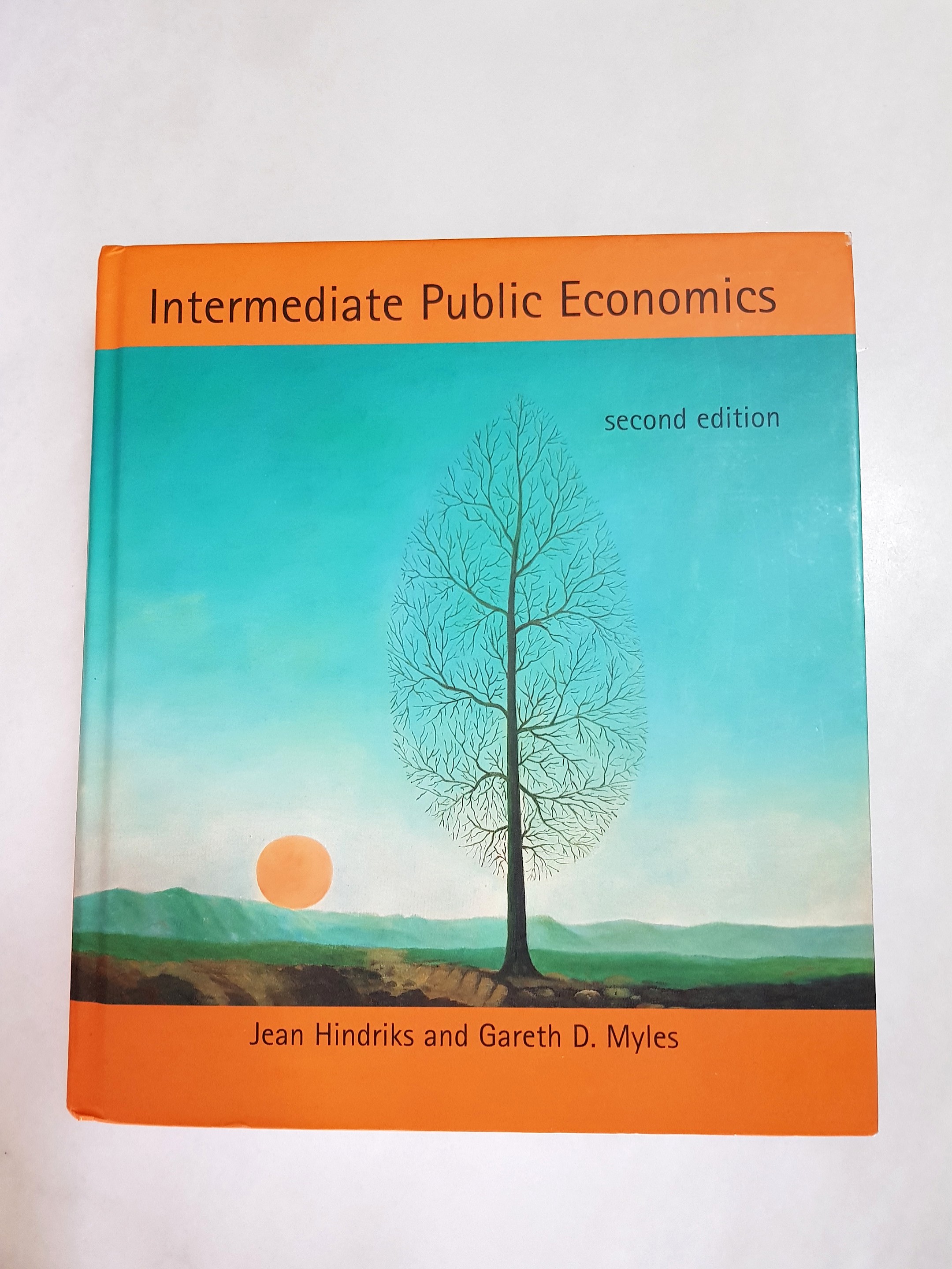 EC4351 Textbook: Intermediate Public Economics by Jean Hindriks and ...