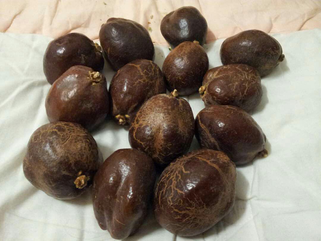 Buah zuriat adam doum fruit, Health & Nutrition, Health Supplements ...