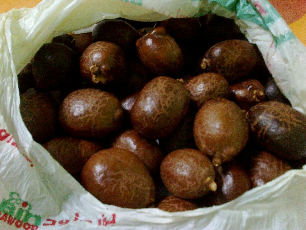 Buah zuriat adam doum fruit, Health & Nutrition, Health Supplements ...