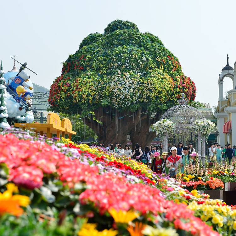 Everland, Tickets & Vouchers, Flights & Overseas Attractions on Carousell