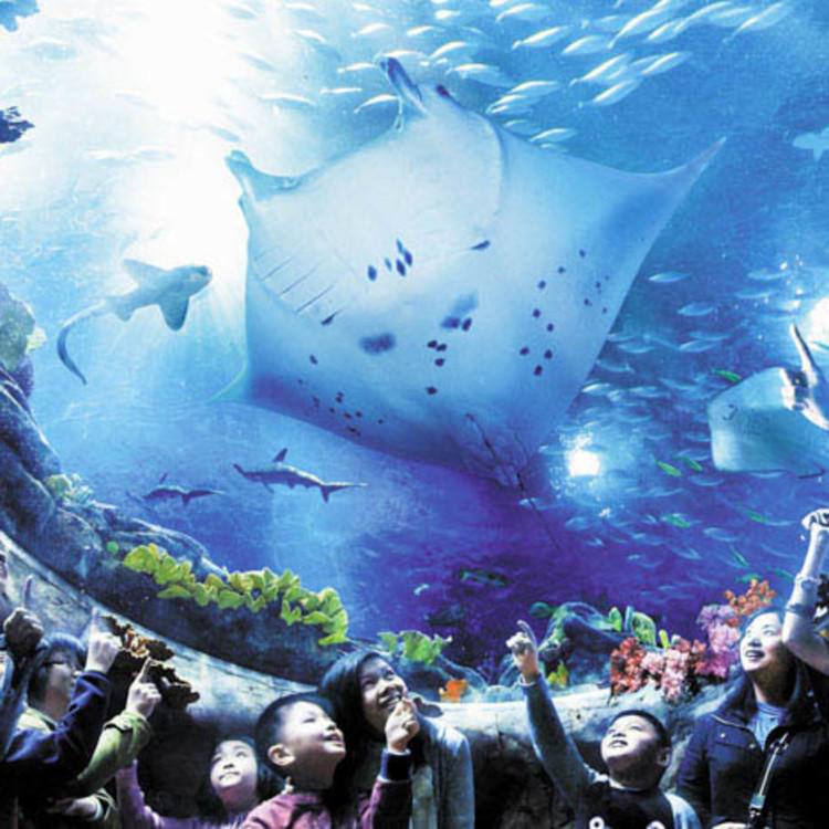 Ocean Park Hong Kong (QR Code Direct Entry), Tickets & Vouchers ...