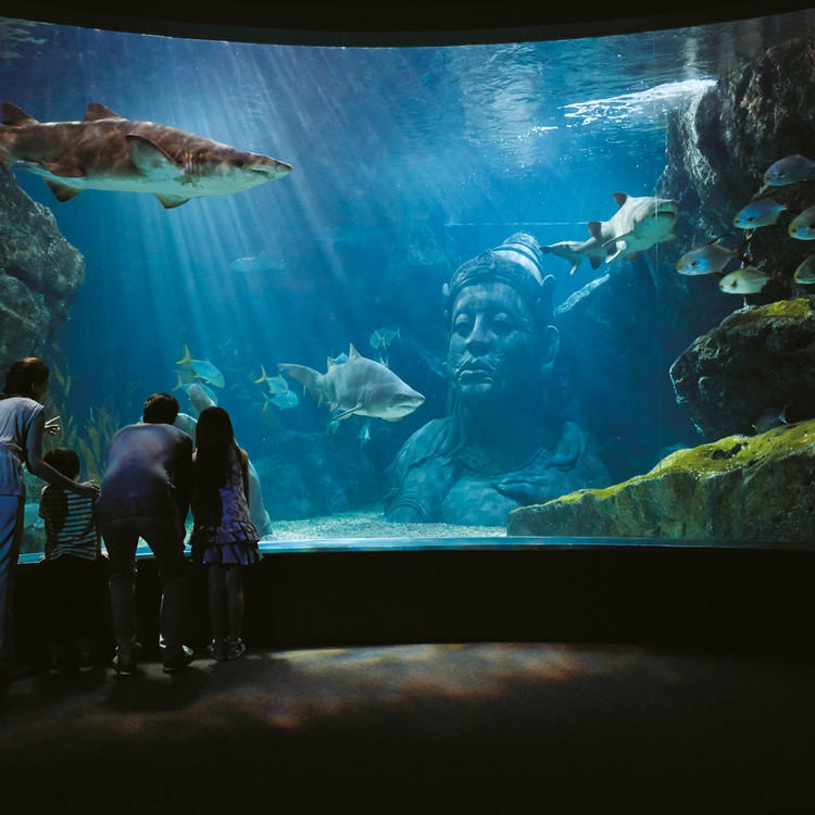 SEA LIFE Bangkok Ocean World, Tickets & Vouchers, Flights & Overseas ...